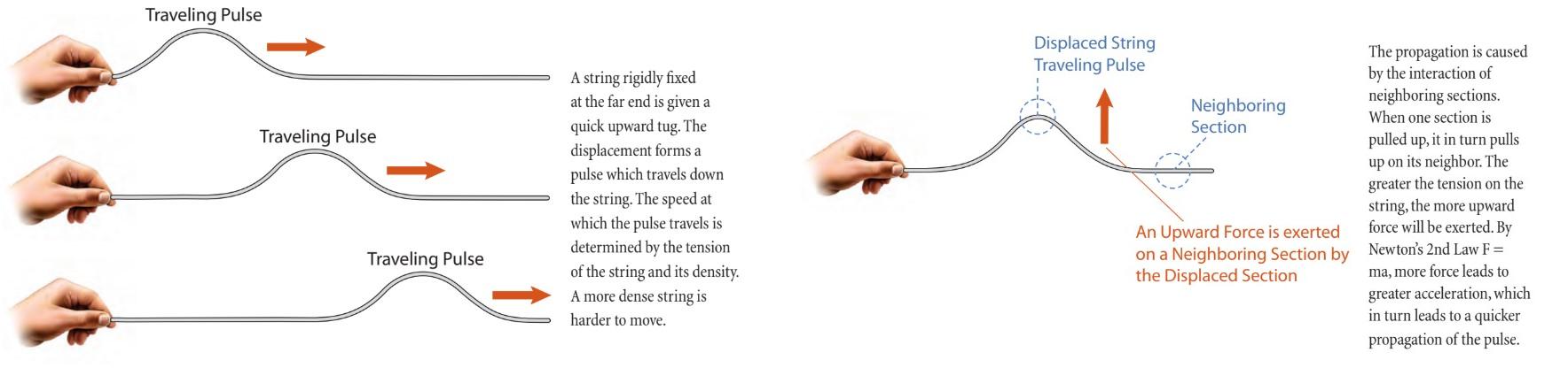 Standing Waves On A String Experiment